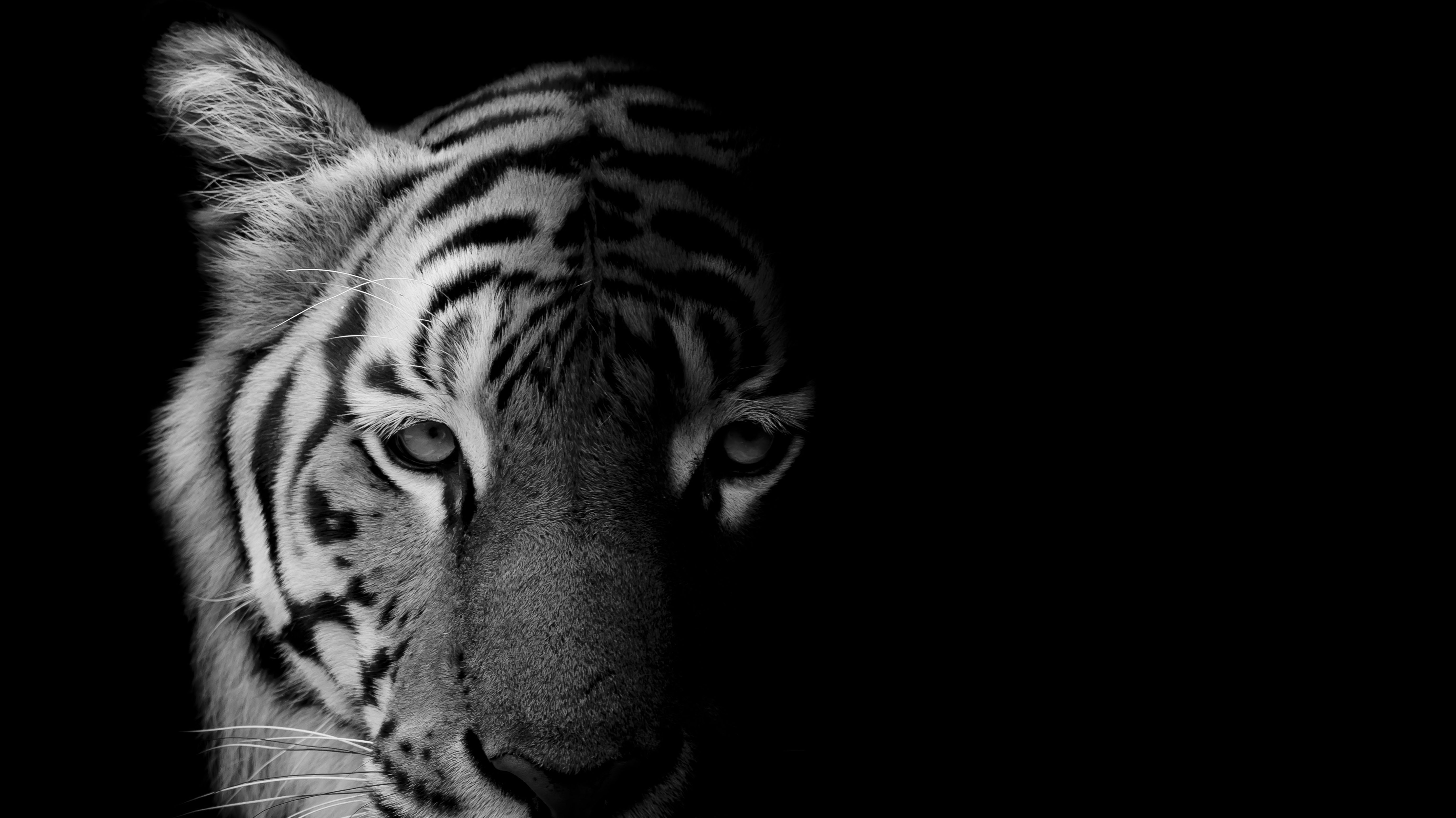 The Legal 500 rank AMC top tier firm in Cyprus - Antoniou McCollum & Co.